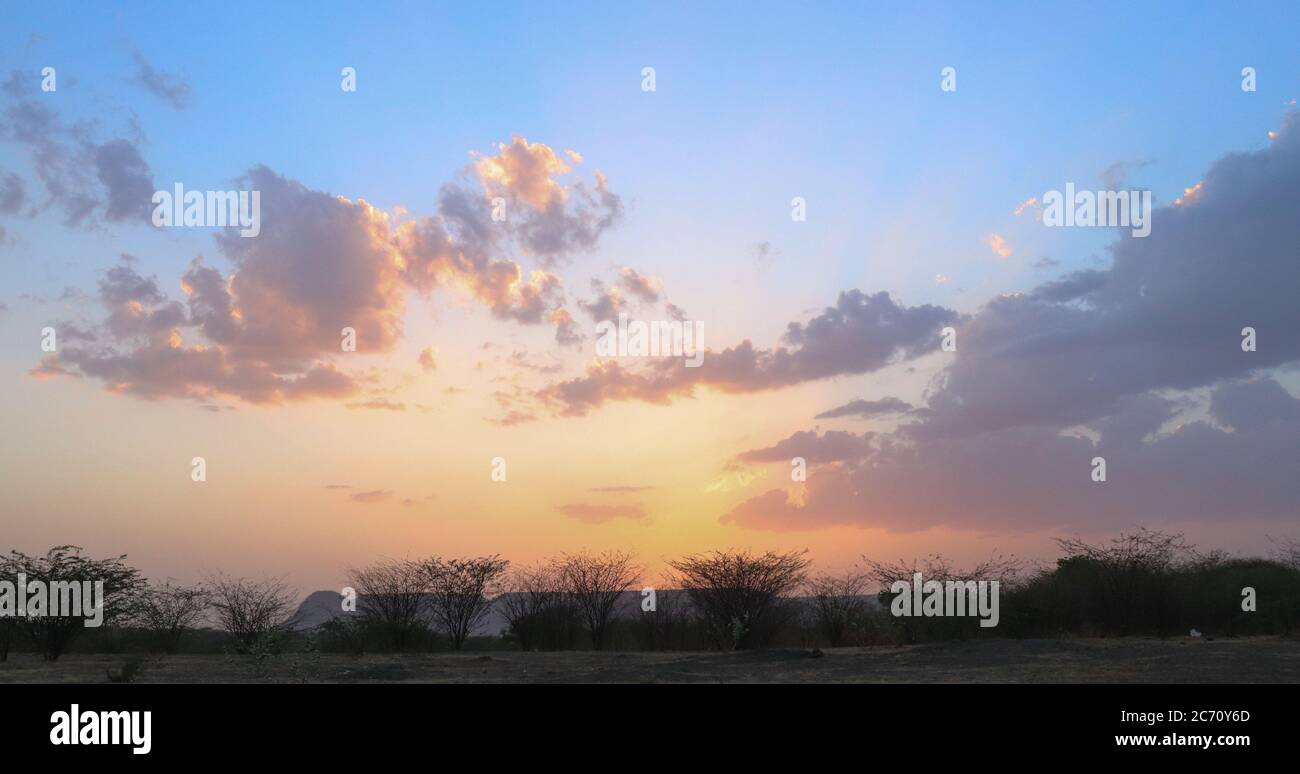 Big trees shade hi-res stock photography and images - Alamy