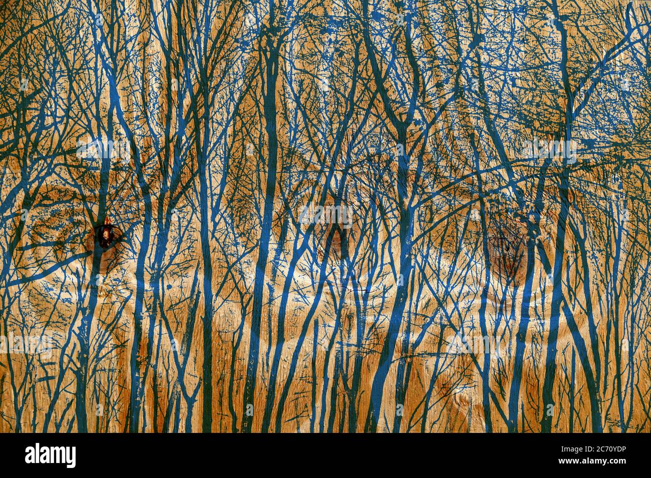 Pine wood texture panel background with trees Stock Photo - Alamy