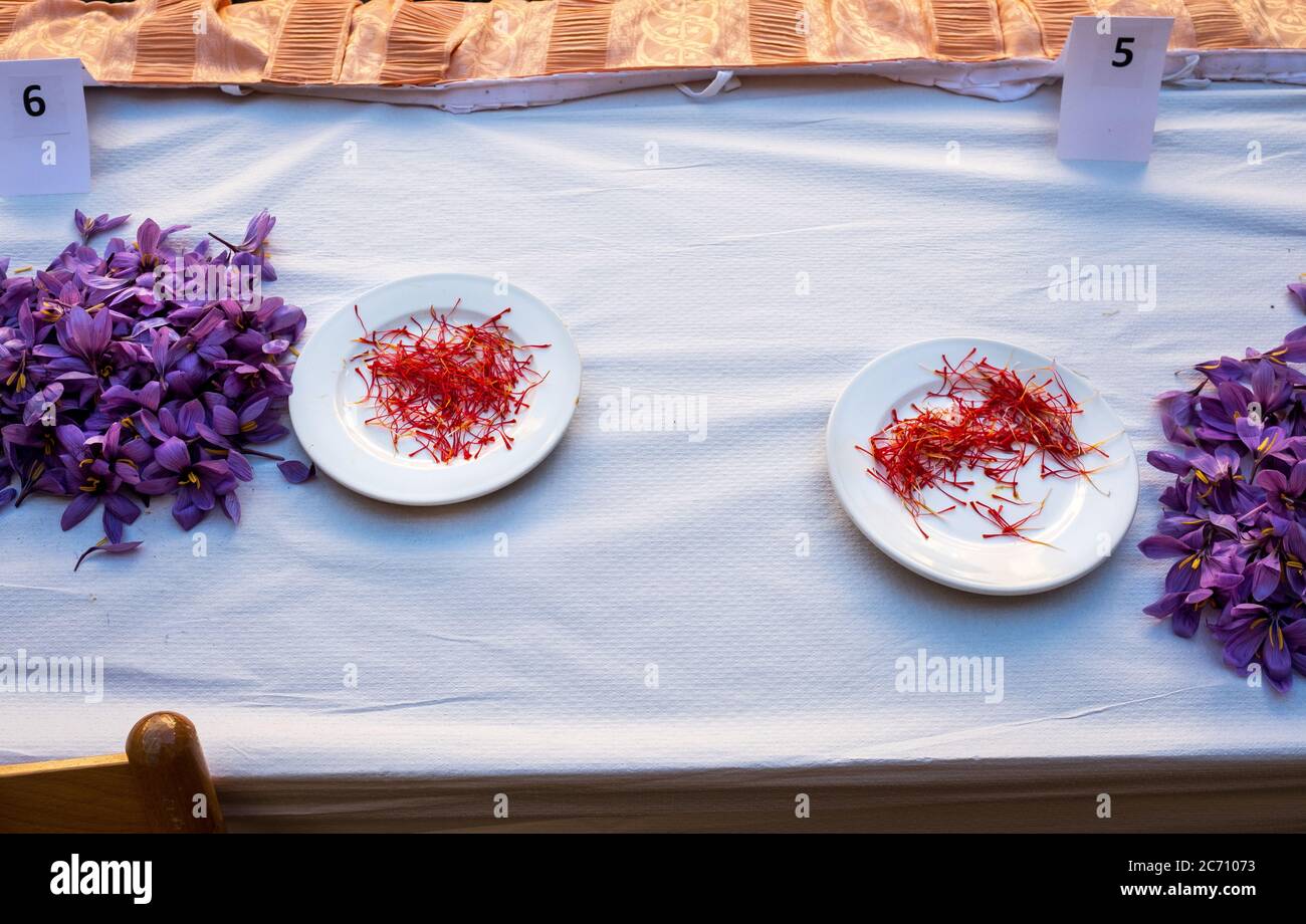 Dishes of two contestants during the saffron plucking contest that ...