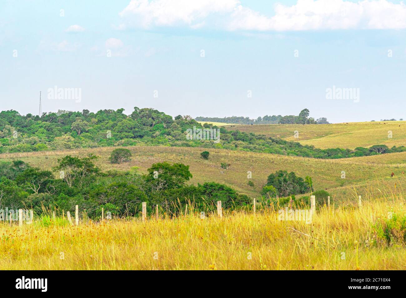 Sunlight and scenic agriculture and rural areas hi-res stock ...