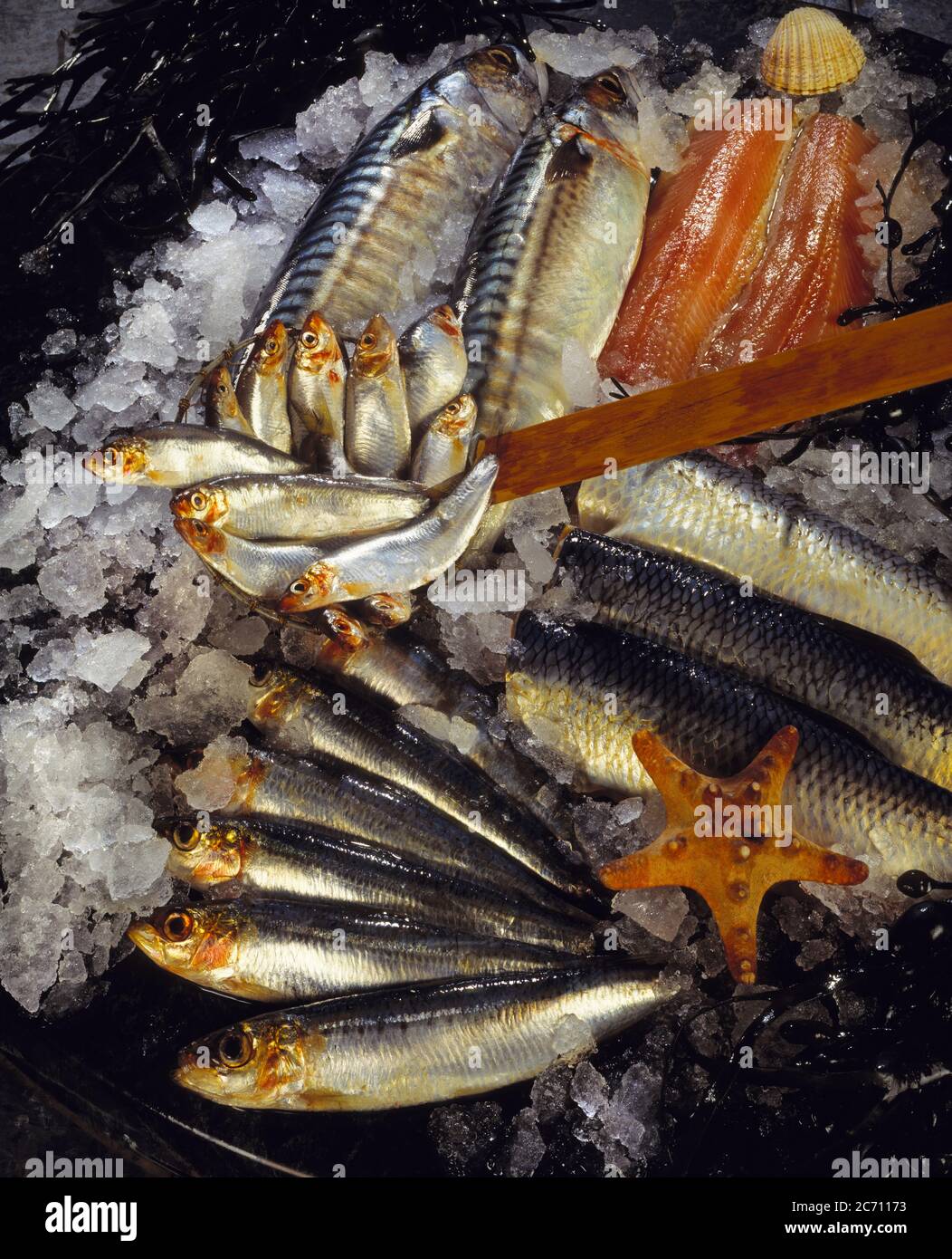 Variety of whole fresh fish with ice & seaweed background, shell ...