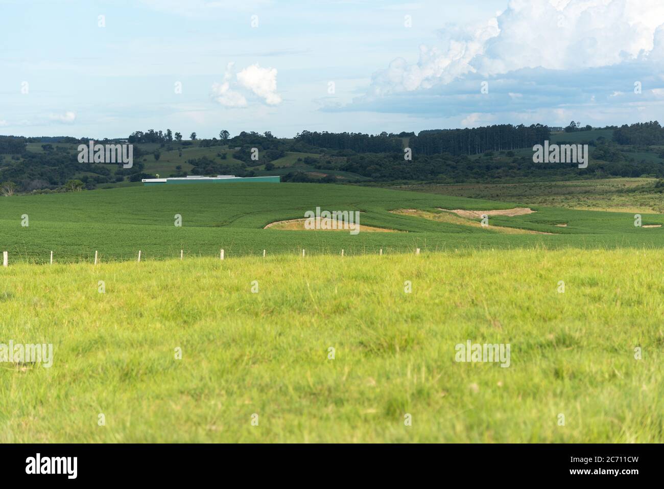 Pampas grassland argentina uruguay hi-res stock photography and images ...