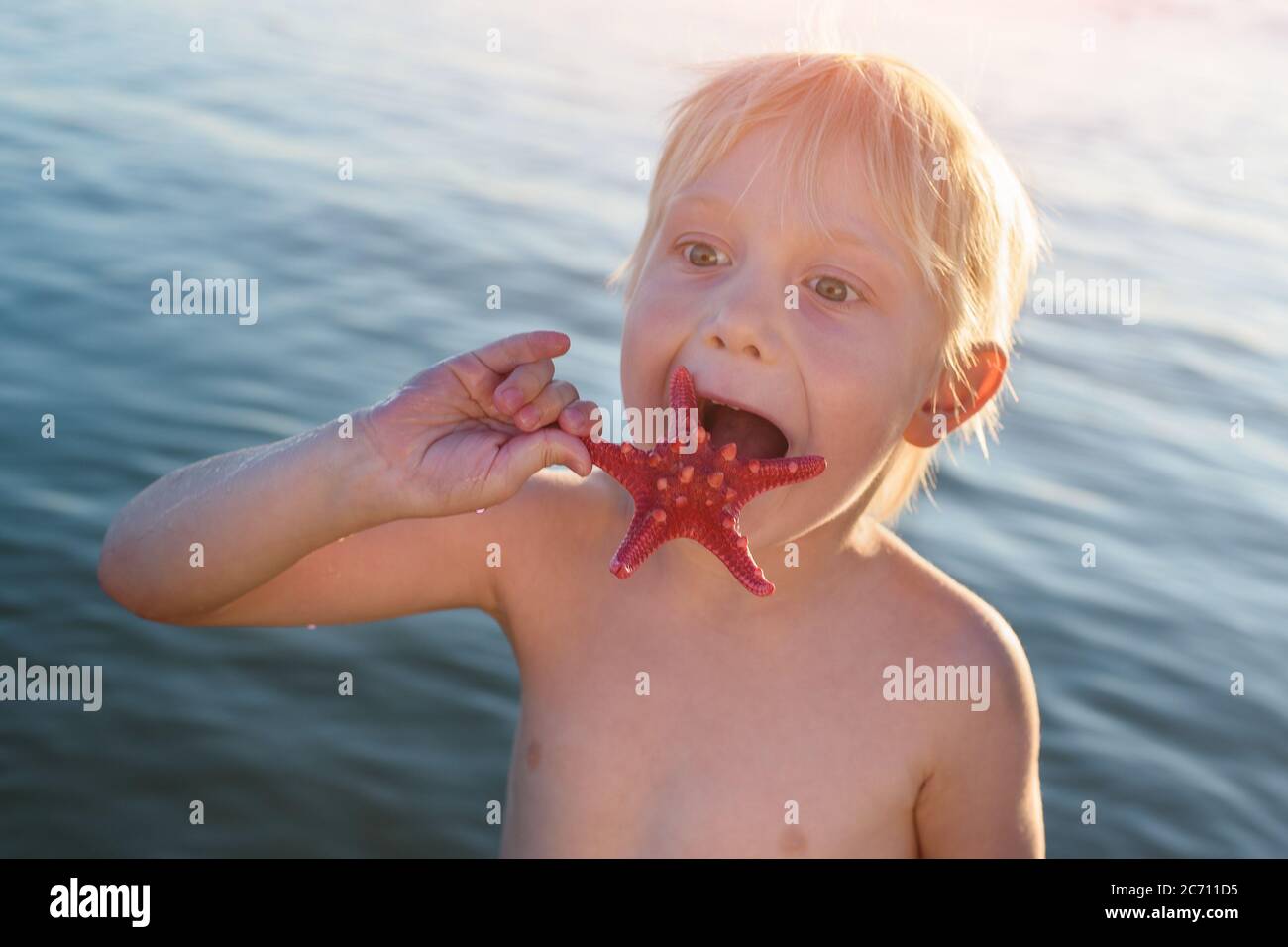 Boy holding starfish hi-res stock photography and images - Alamy