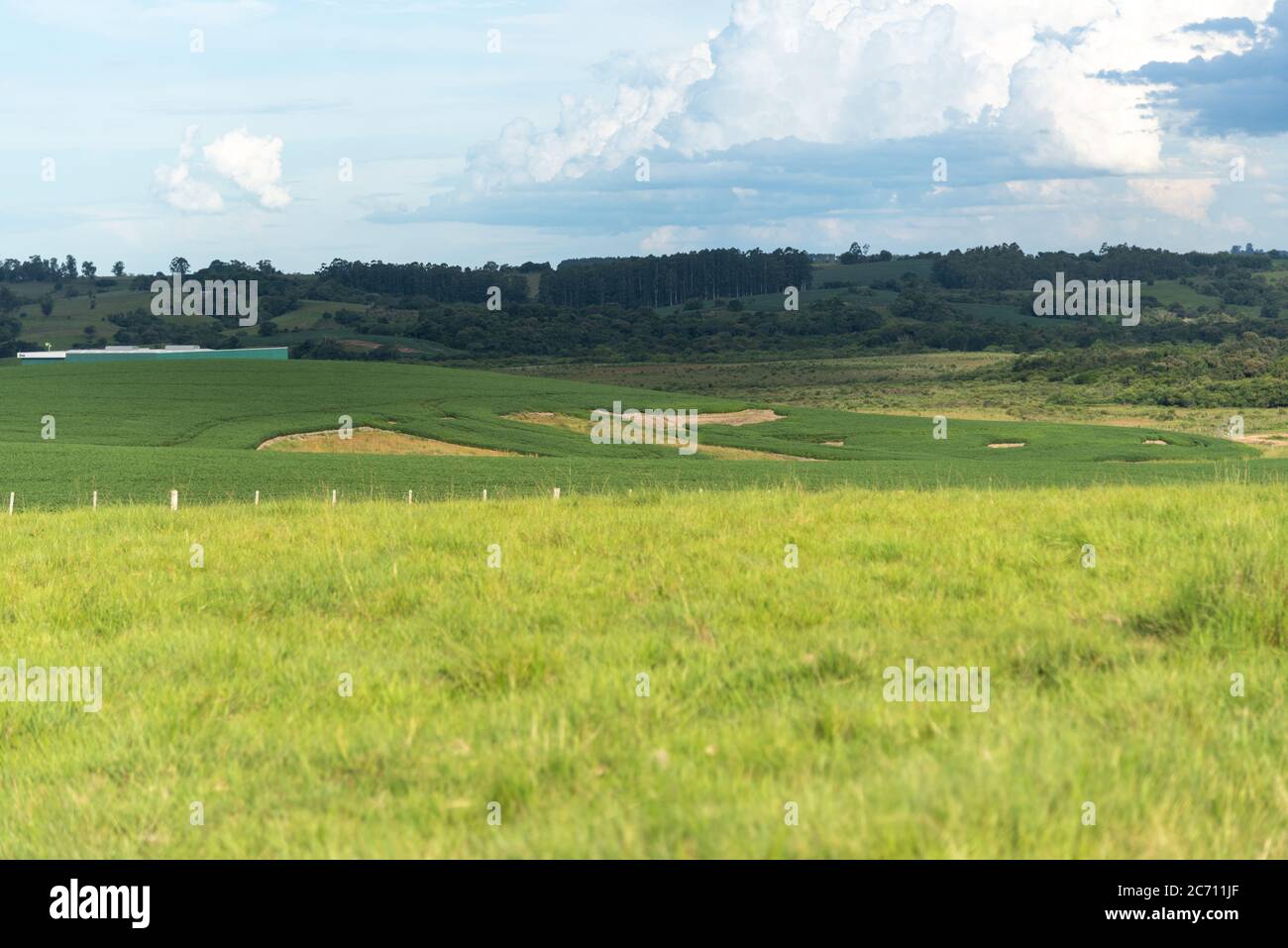 Bioma pampa hi-res stock photography and images - Alamy