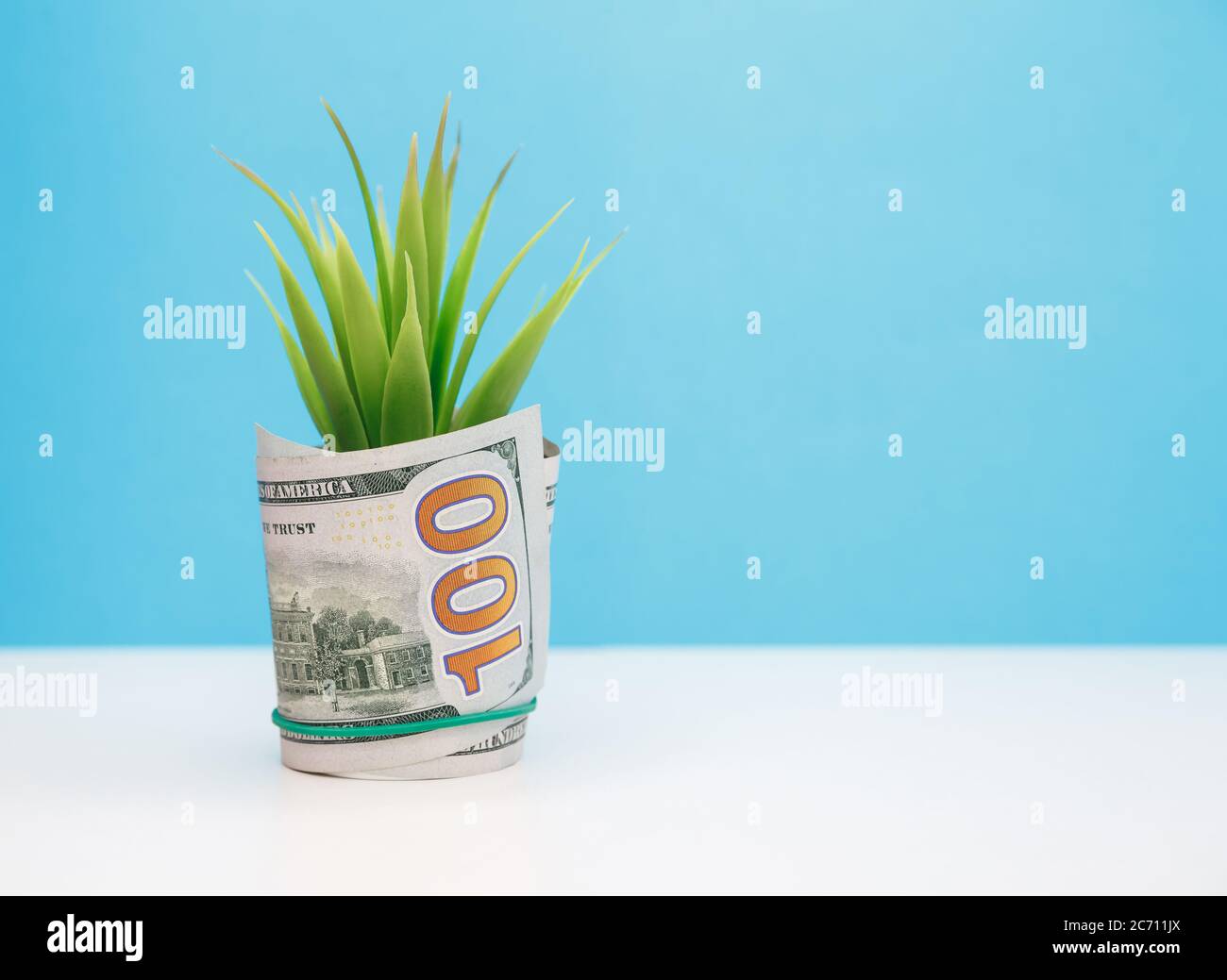 Plant growing from 100 dollar bill Sprout covered with dollar banknote ...