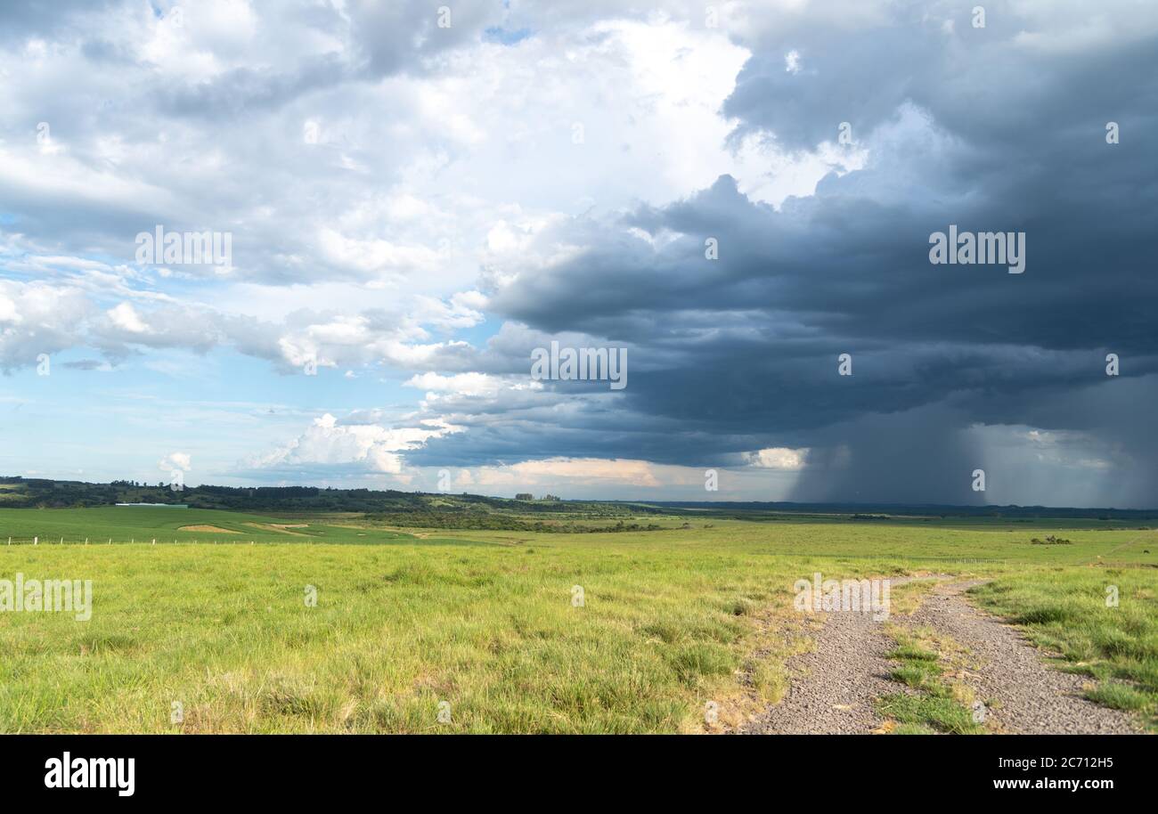 Pampas grassland argentina uruguay hi-res stock photography and images ...