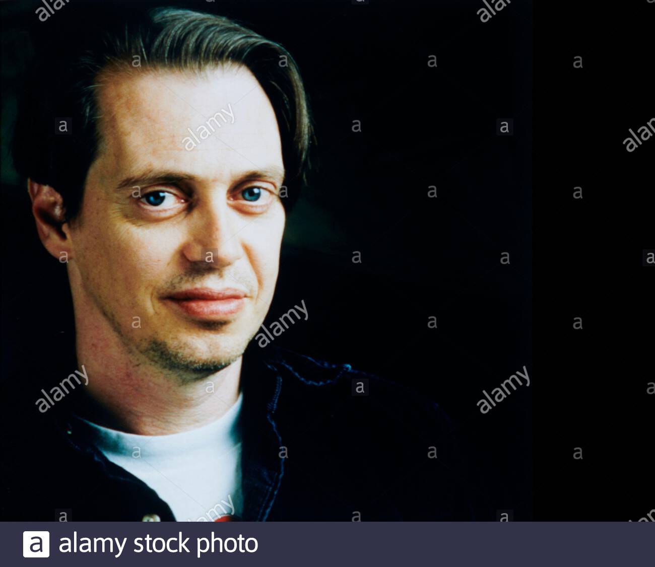 Buscemi High Resolution Stock Photography and Images - Alamy