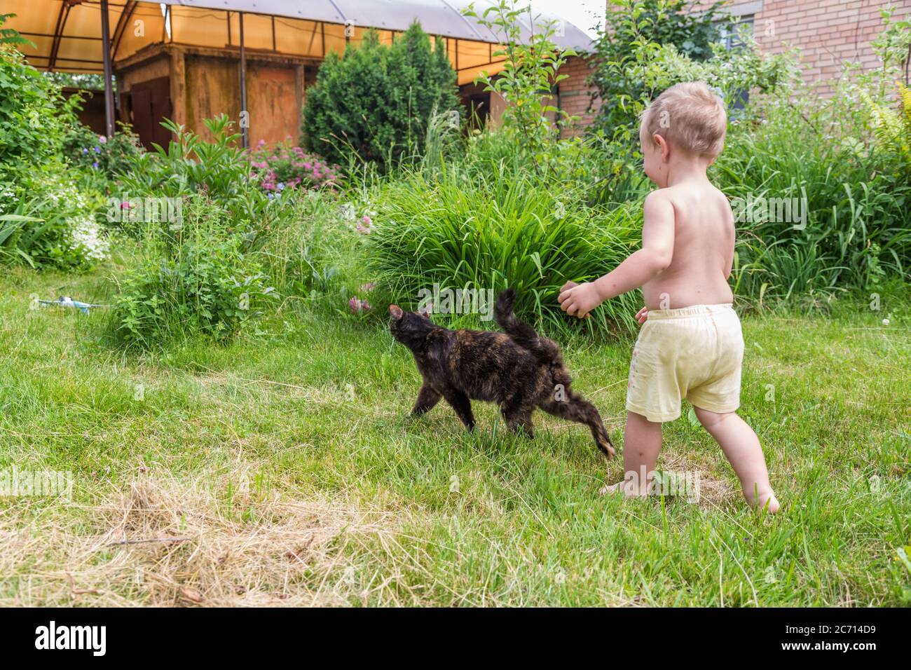 Animals and children concepts. Little boy and the cat Stock Photo - Alamy