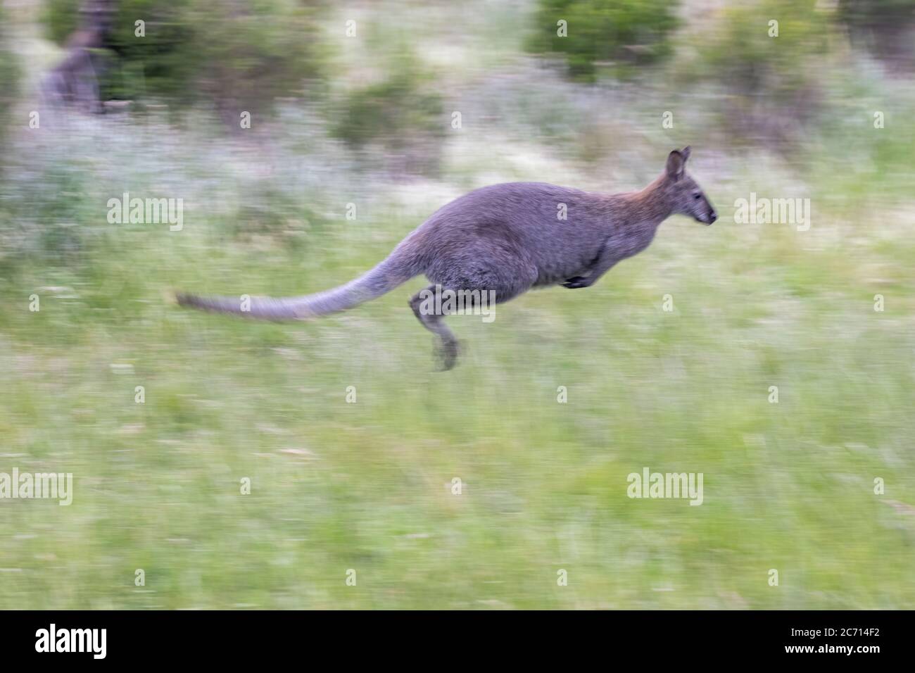 Fast movement hi-res stock photography and images - Alamy