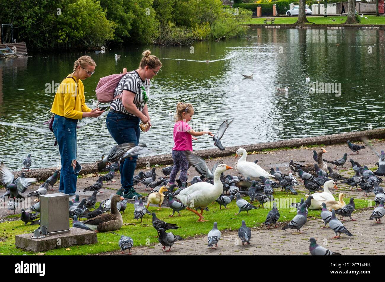 15 by 20 hi-res stock photography and images - Alamy
