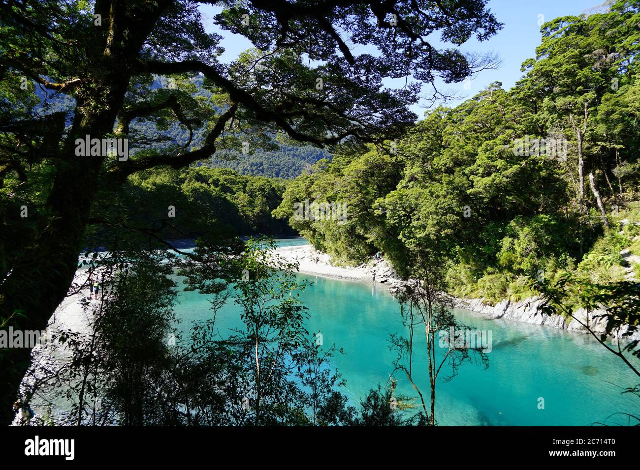 Blue pools track - Mt. Aspiring Stock Photo - Alamy