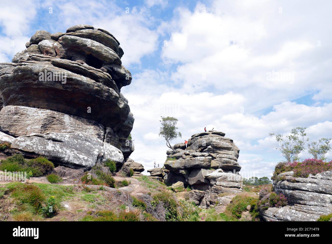 Brimham Rocks in North Yorkshire, is owned by National Trust & is great ...