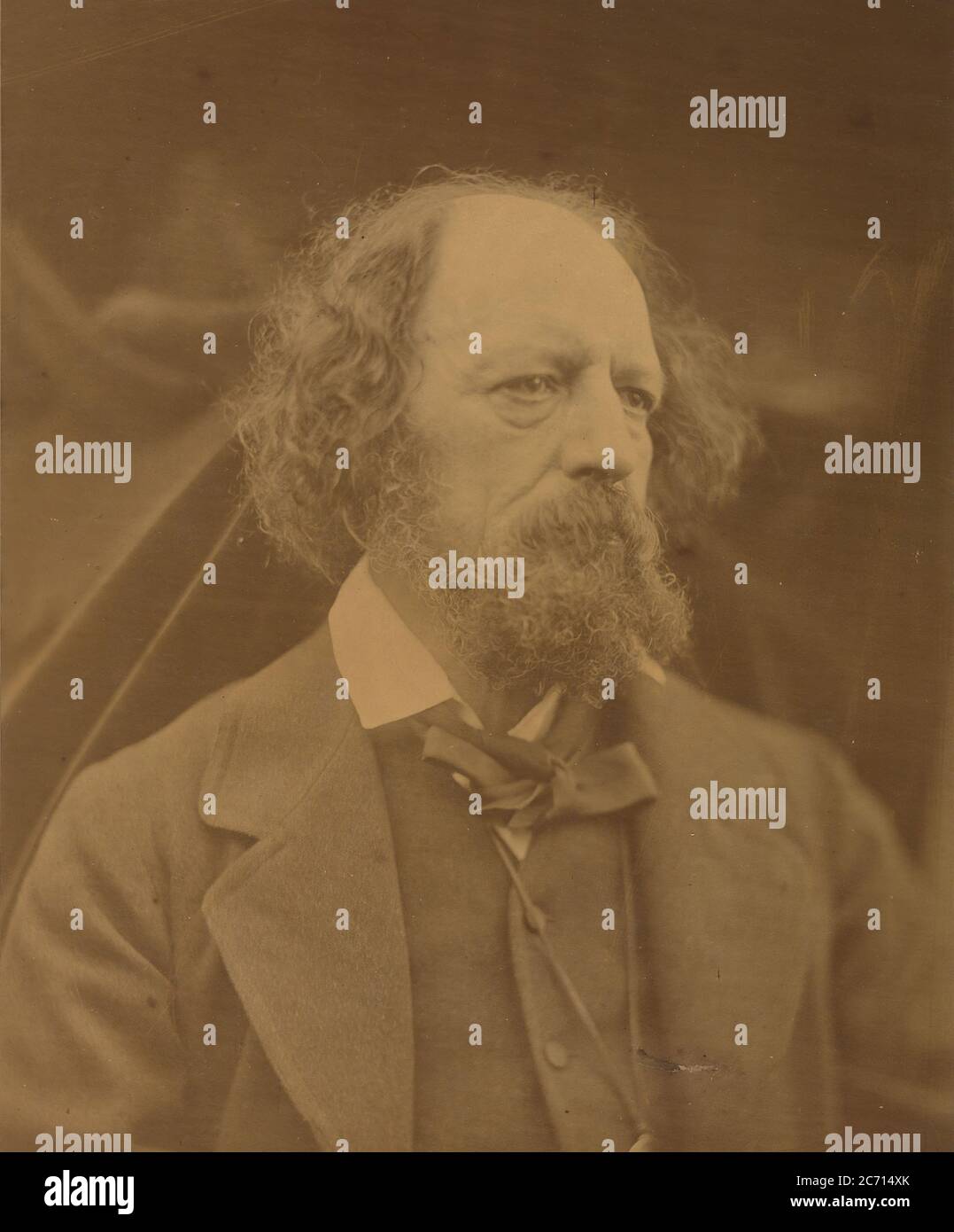 Alfred, Lord Tennyson, ca. 1865 Stock Photo - Alamy