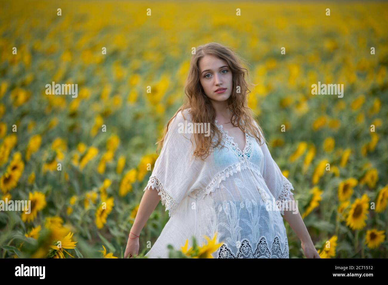 Beautiful young girl posing in a sunflower field Stock Photo - Alamy
