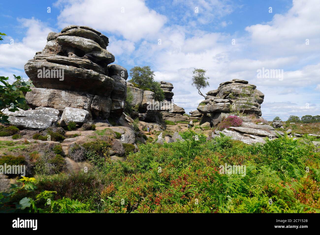 Brimham Rocks in North Yorkshire, is owned by National Trust & is great ...