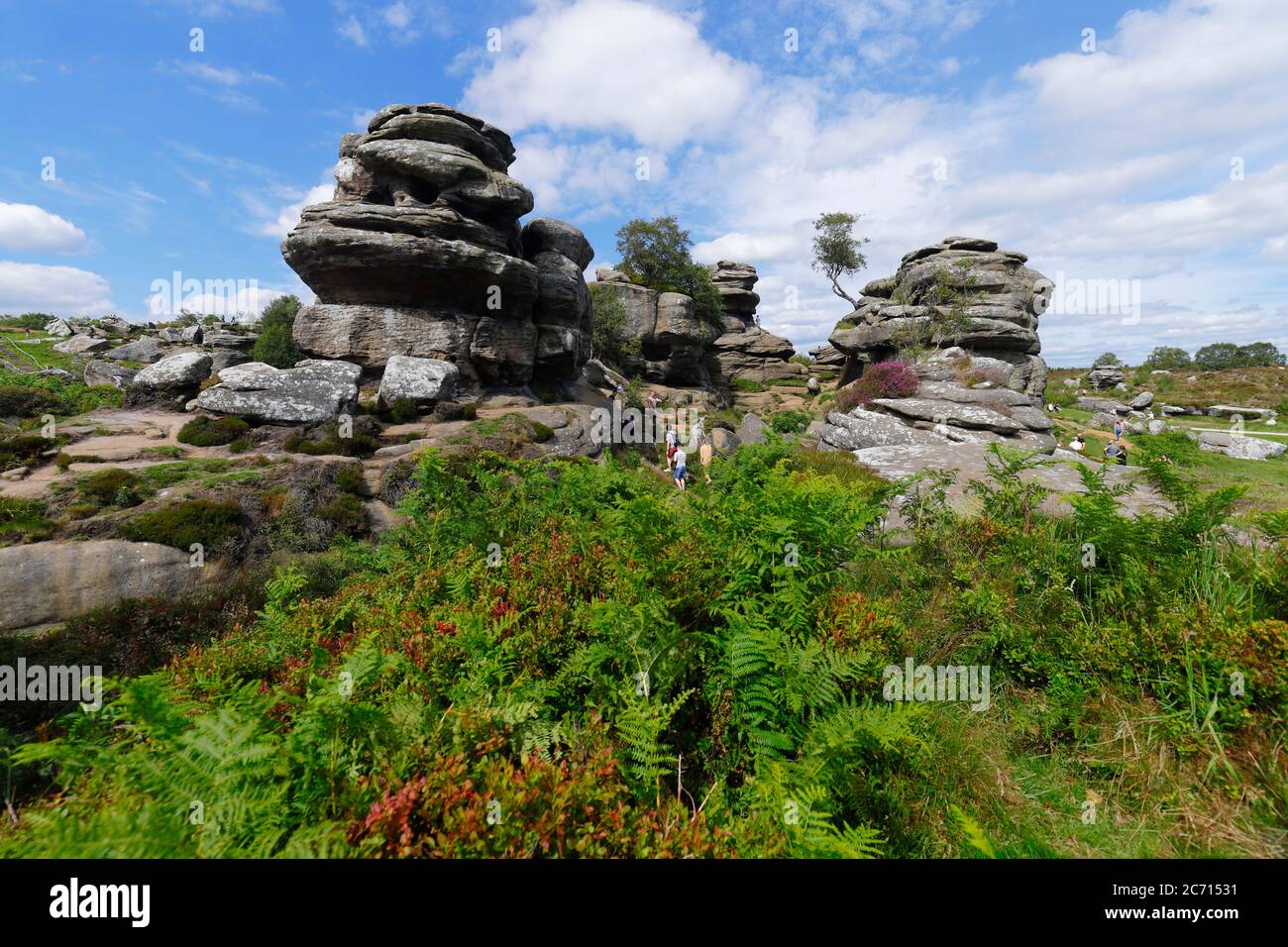 Brimham Rocks in North Yorkshire, is owned by National Trust & is great ...