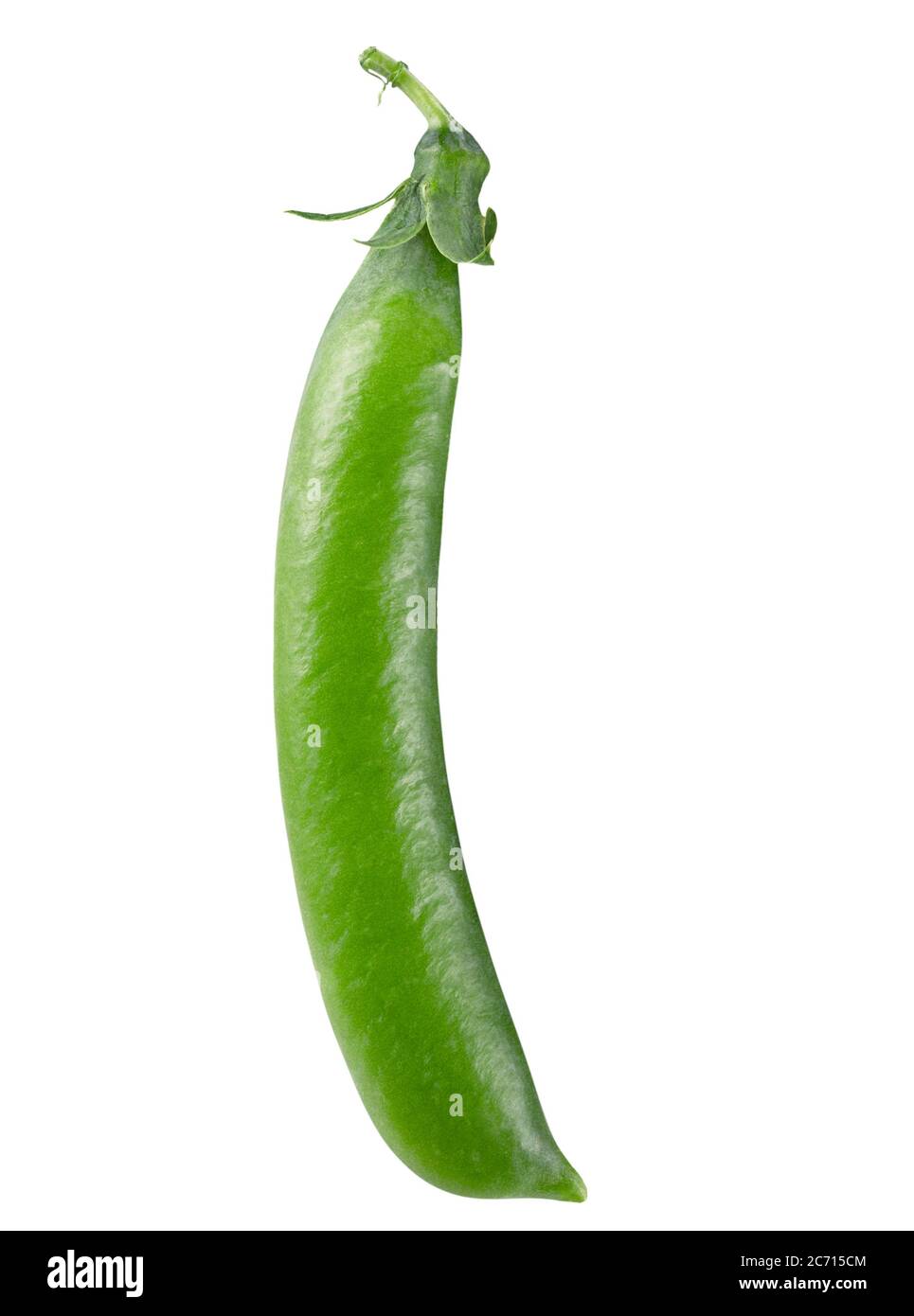 Peas on a plant Cut Out Stock Images & Pictures - Alamy