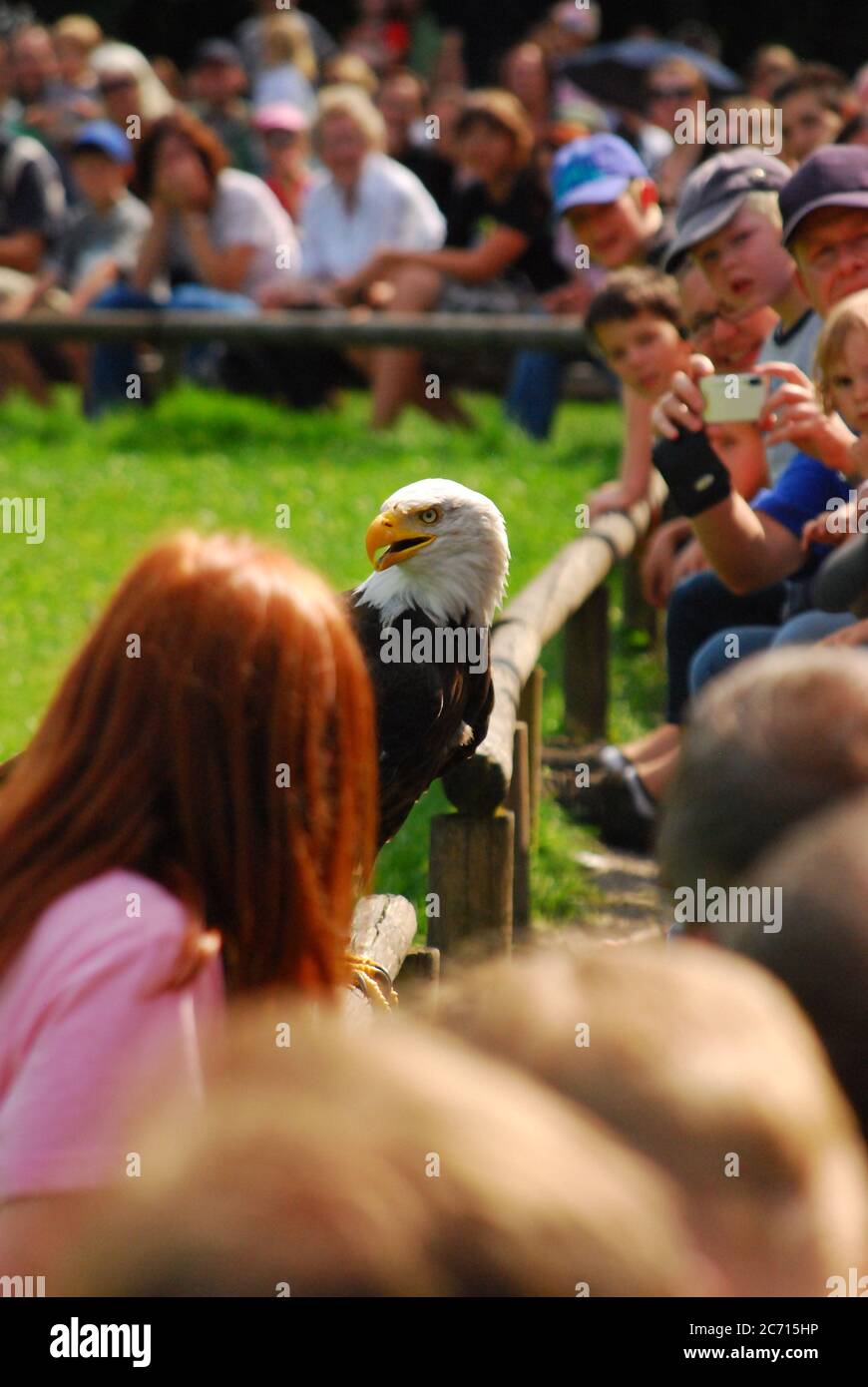People watching bird show hi-res stock photography and images - Alamy