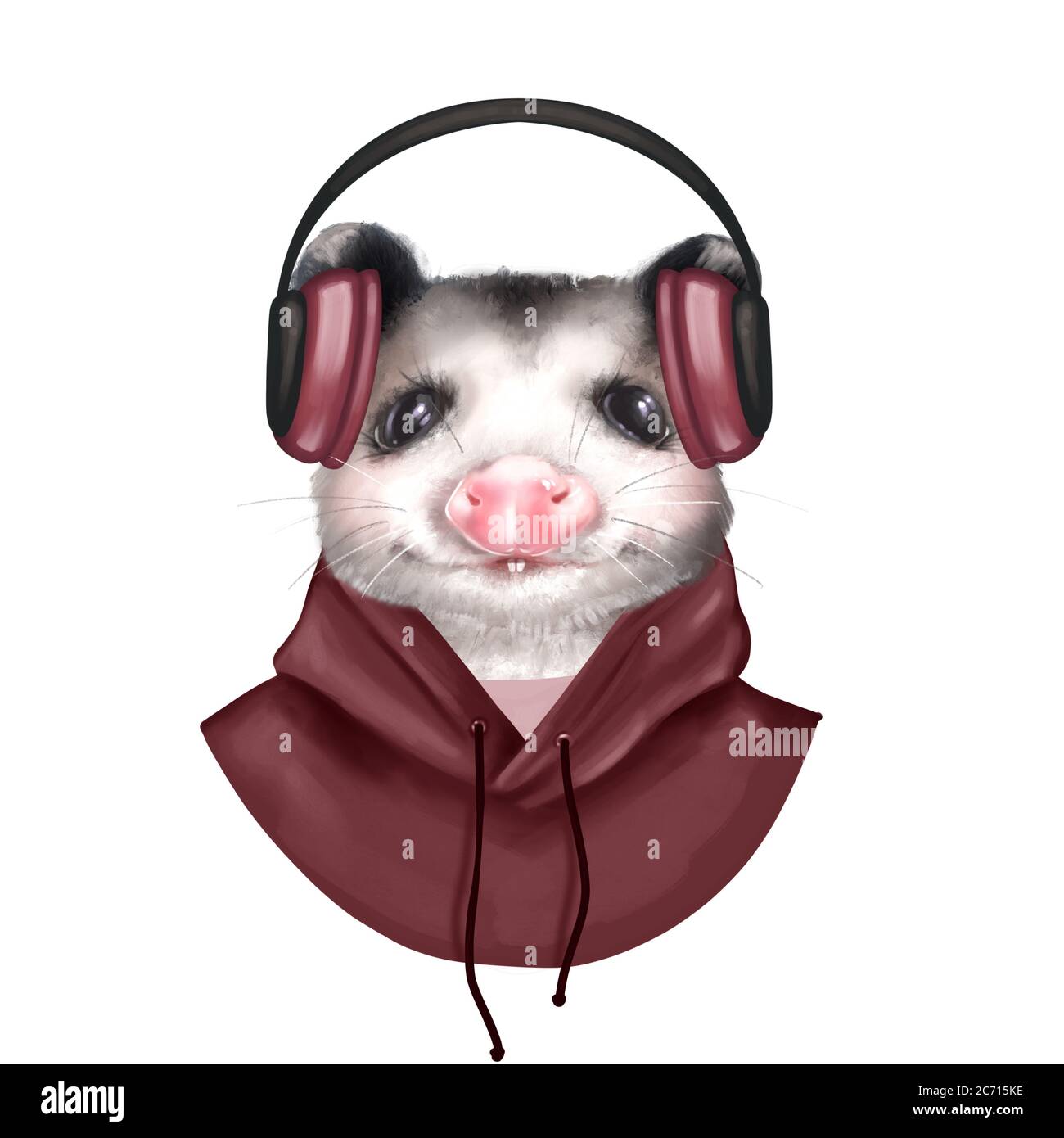 Opossum opossum Cut Out Stock Images & Pictures - Alamy