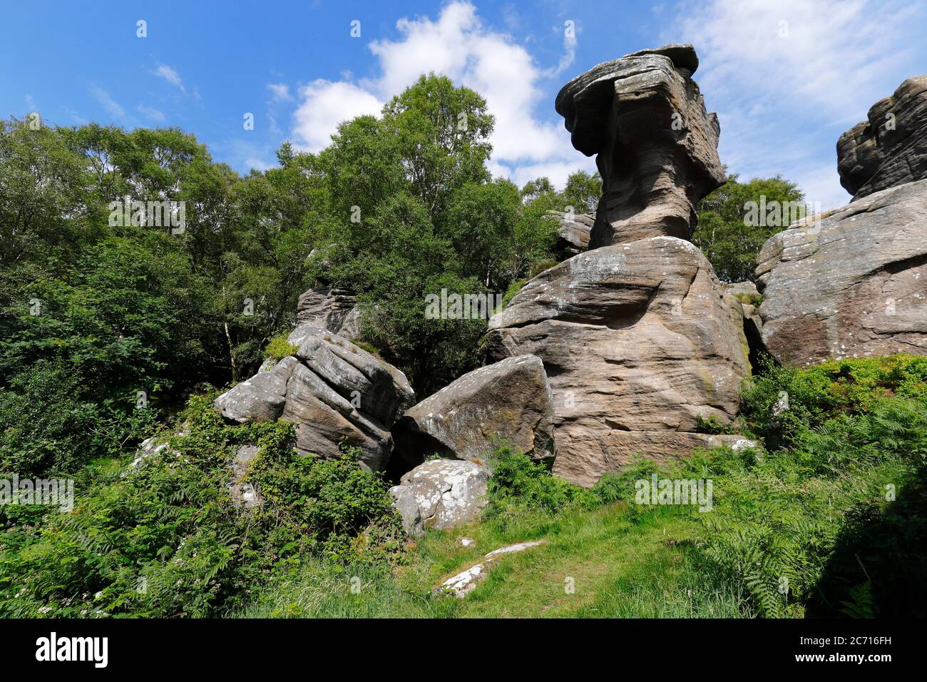 Brimham Rocks in North Yorkshire, is owned by National Trust & is great ...