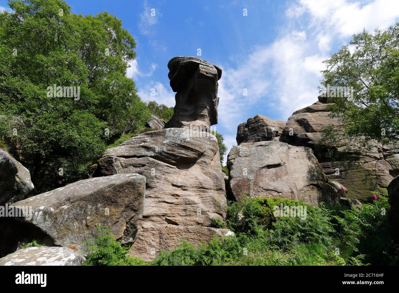 Brimham Rocks in North Yorkshire, is owned by National Trust & is great ...