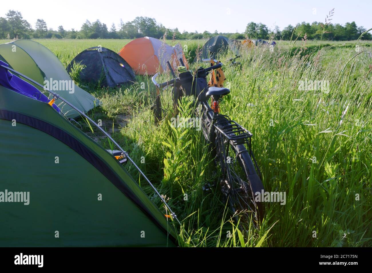 Tourist camp in the swamp. Camping tents in the wetlands Stock Photo ...