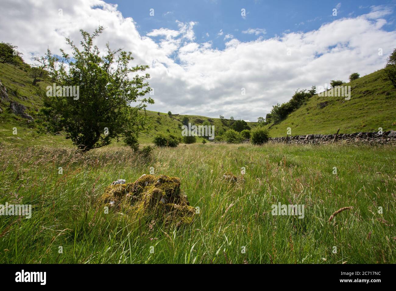 Peak district meadow hi-res stock photography and images - Alamy