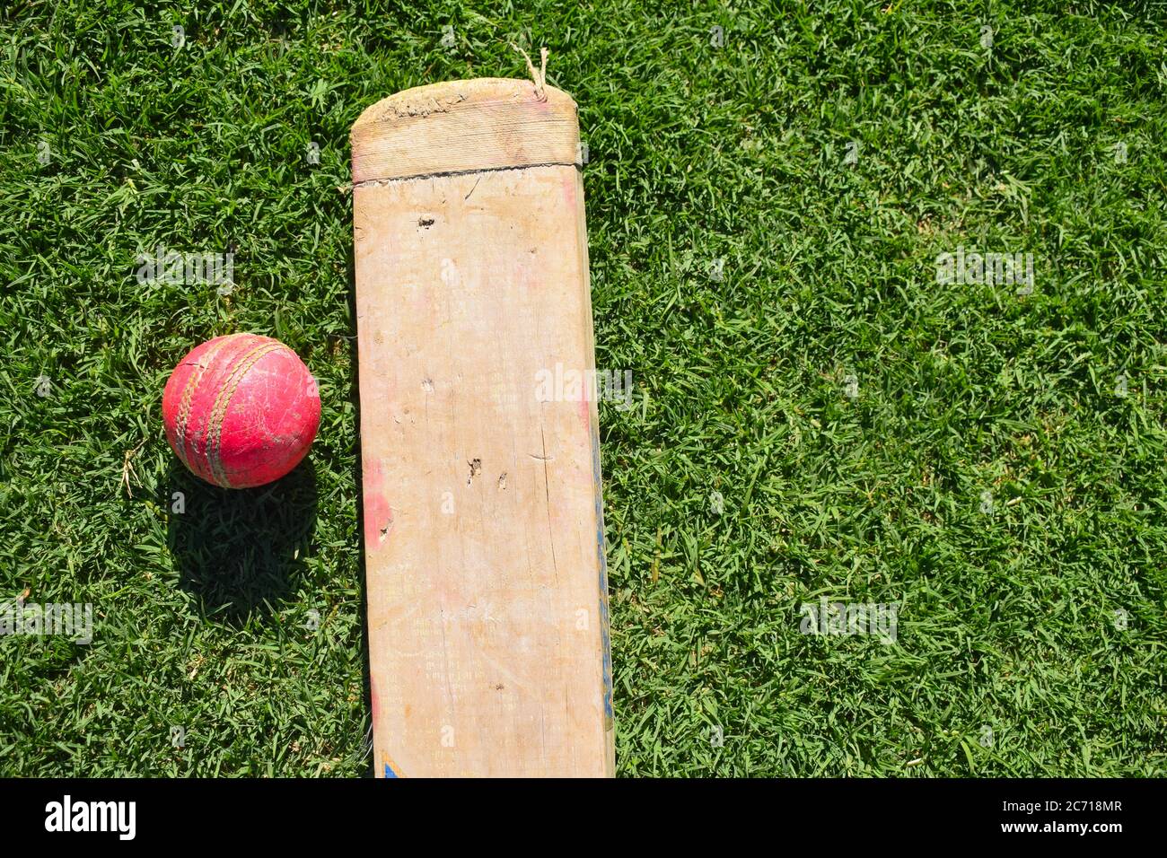 Cricket bat and ball isolated on a playground Stock Photo - Alamy