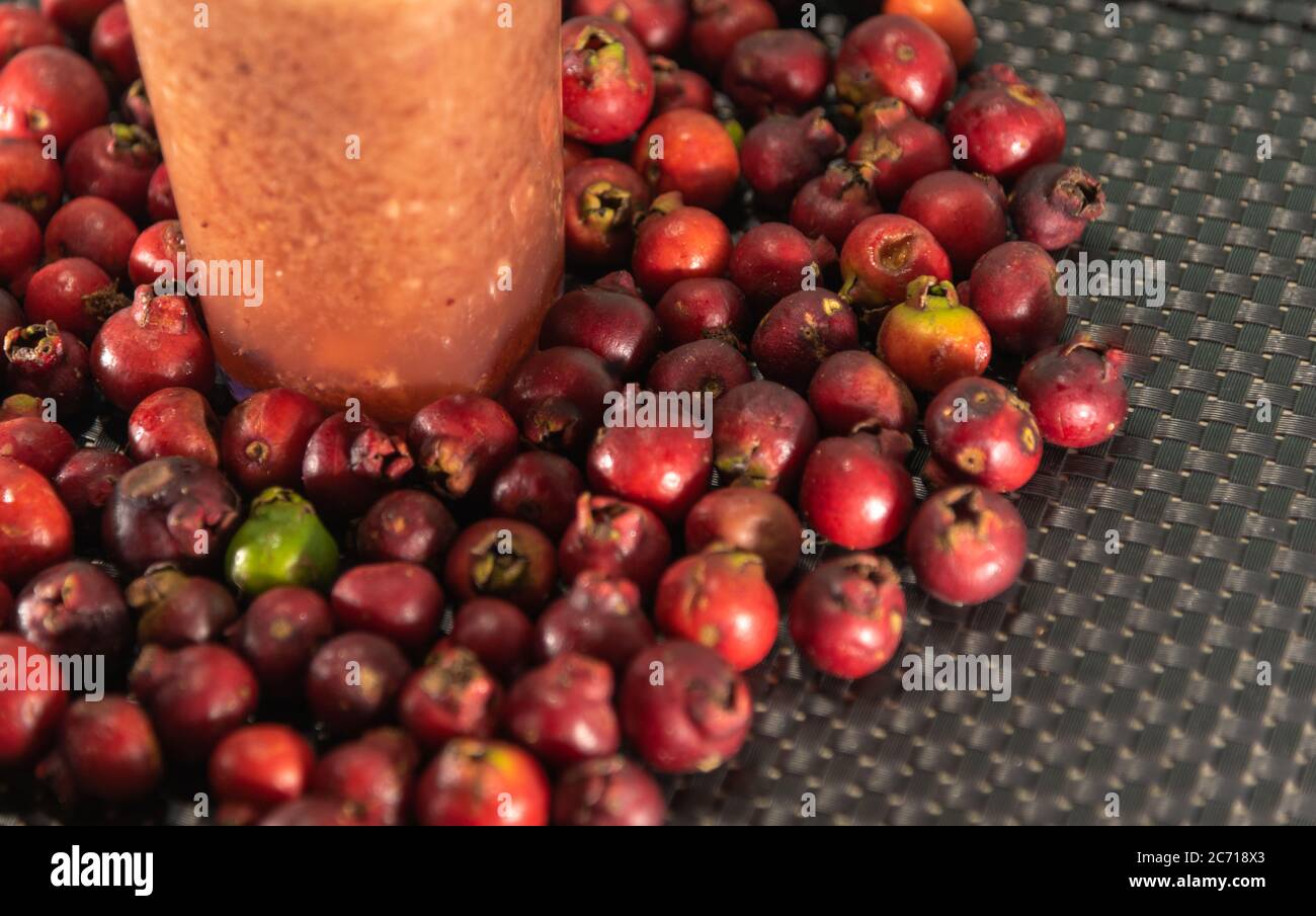 Araçá Rosa Juice (Psidium cattleianum). Red fruits. Brazilian fruit ...