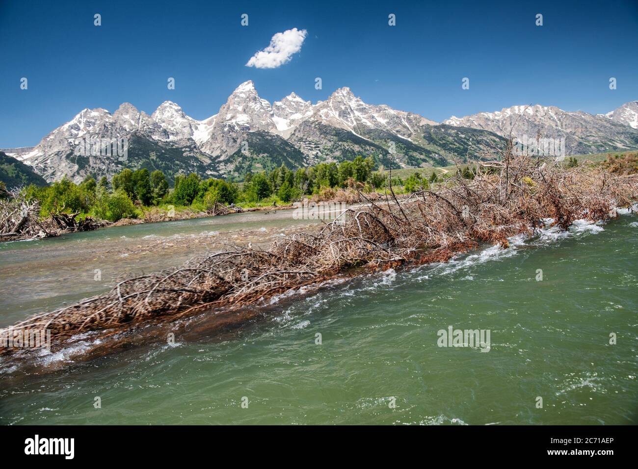 Amazing Grand Teton Peaks in summertime, Wyoming, USA Stock Photo - Alamy