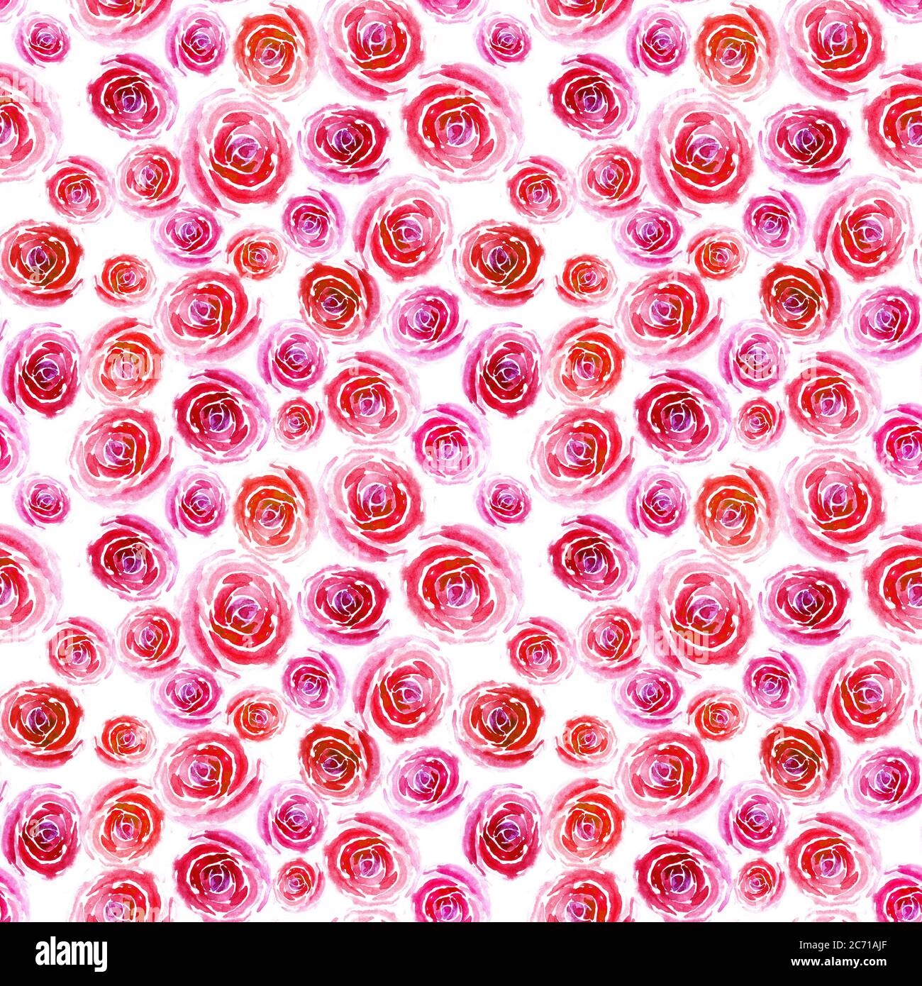 Pink-red roses of different sizes on a white background. Beautiful ...