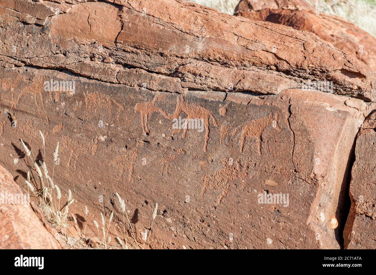 Namibia africa twyfelfontein petroglyph hi-res stock photography and ...