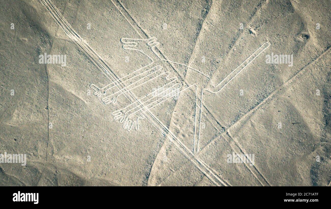 Nazca, Peru - August 2017: The Dog figure as seen in the Nasca Lines ...