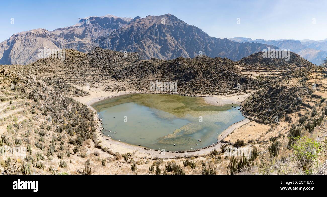 Colca Canyon, Peru, South America. The Incas built farming terraces ...
