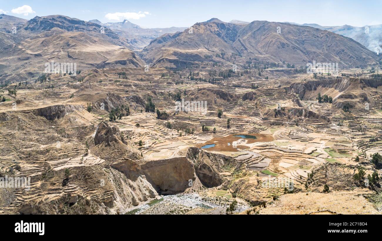 Colca Canyon, Peru, South America. The Incas built farming terraces ...