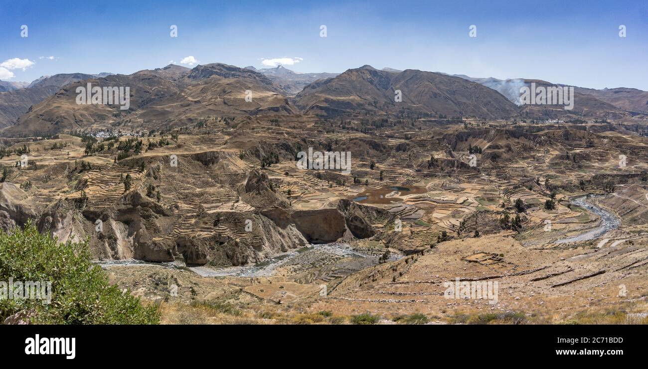 Colca Canyon, Peru, South America. The Incas built farming terraces ...