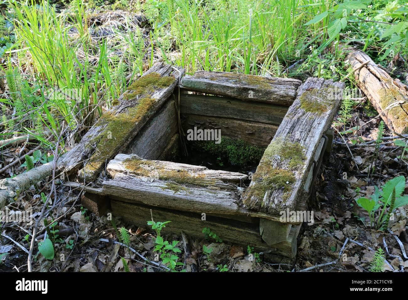 old lost wooden well in deep forest Stock Photo - Alamy