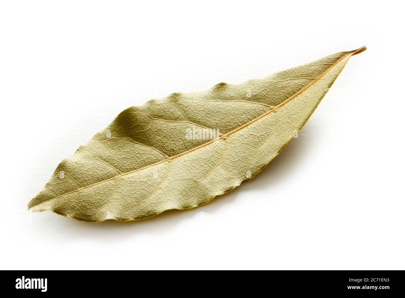 Close up single bay leaf hi-res stock photography and images - Alamy