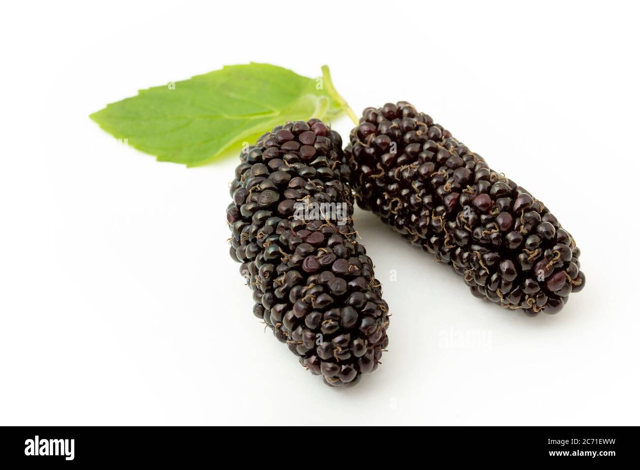 fresh and ripe mulberries background Stock Photo - Alamy