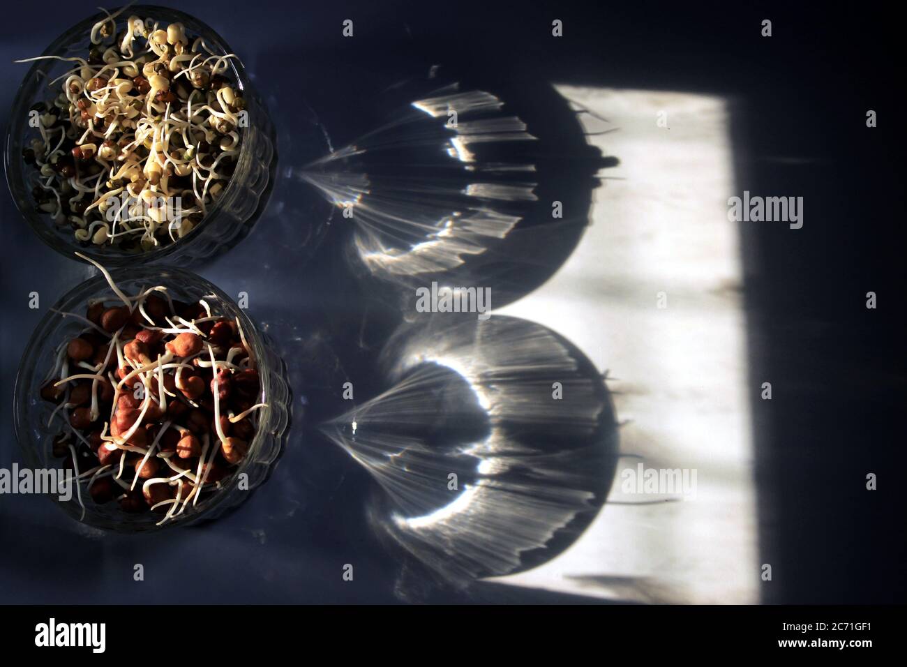 Fresh Sprouted green gram isolated with white background. Germinating ...