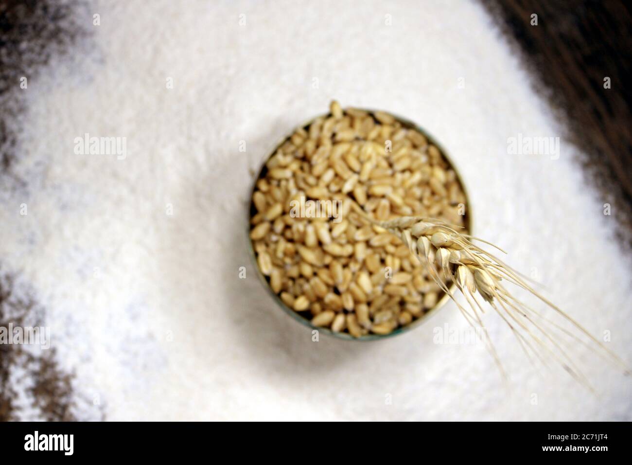 Pile of organic whole grain wheat. Fresh harvested wheat grain on wheat ...