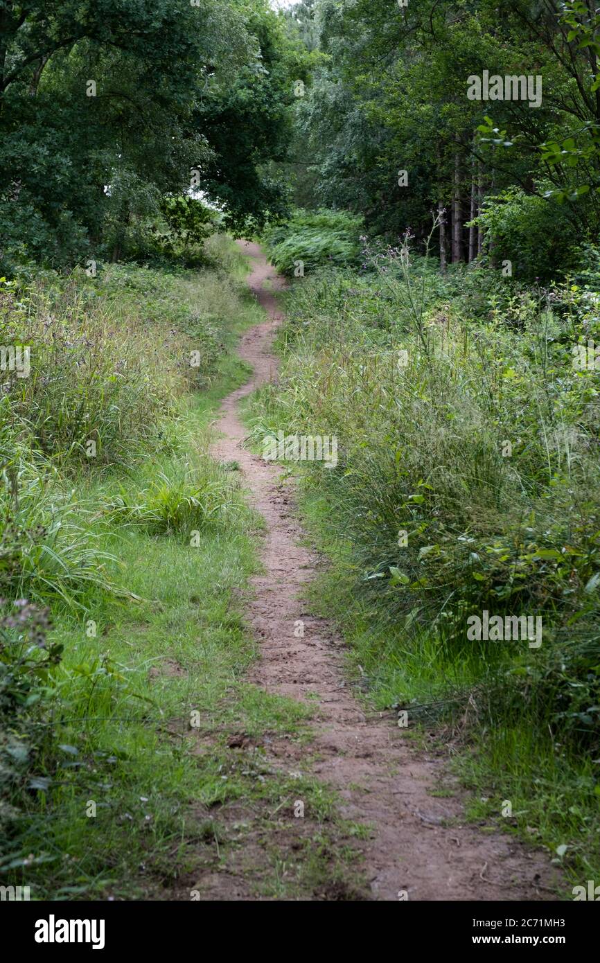 Well worn trail hi-res stock photography and images - Alamy