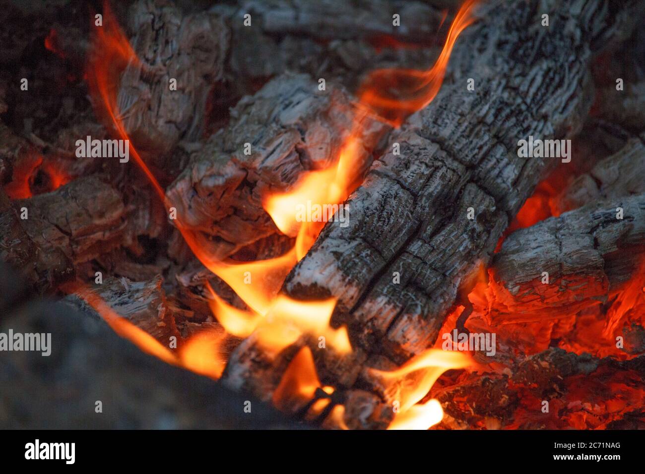 Fire wood, coal and amber ash closeup. Red tongues of flame and glowing ...