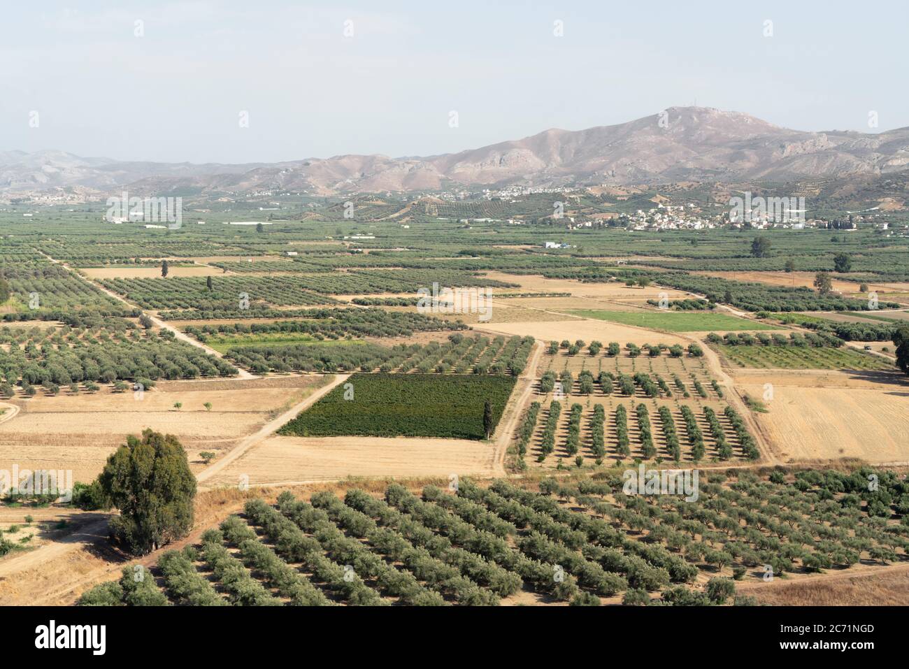 Olive grove in the mountains hi-res stock photography and images - Alamy