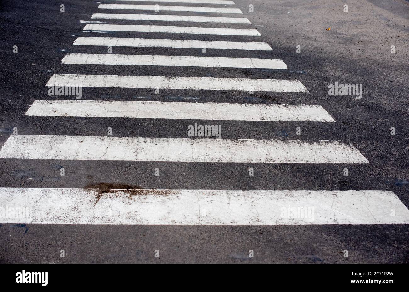 Zebra crosswalk on the road for safety when people walking cross the ...