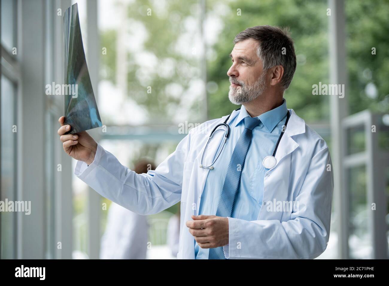 Doctor checking xray results hi-res stock photography and images - Alamy