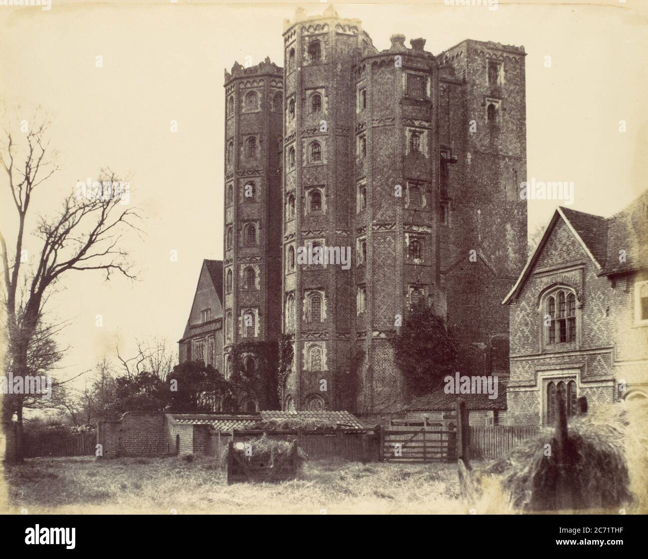 Royal family tree of the house of tudor hi-res stock photography and ...