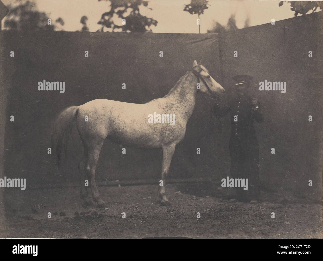 Pascaline hi-res stock photography and images - Alamy