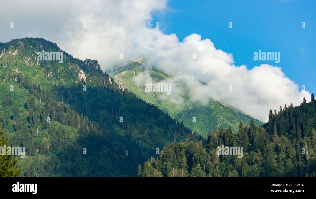 Green nature landscape of trees and forests in rural areas of Savsat ...