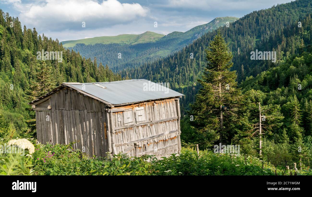 Highland in trabzon turkey hi-res stock photography and images - Alamy